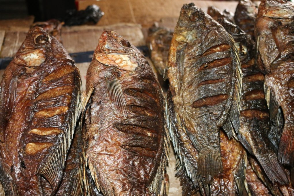 ‘God has abandoned us.’ Ugandan fishmongers cry out as mudfish nears ...