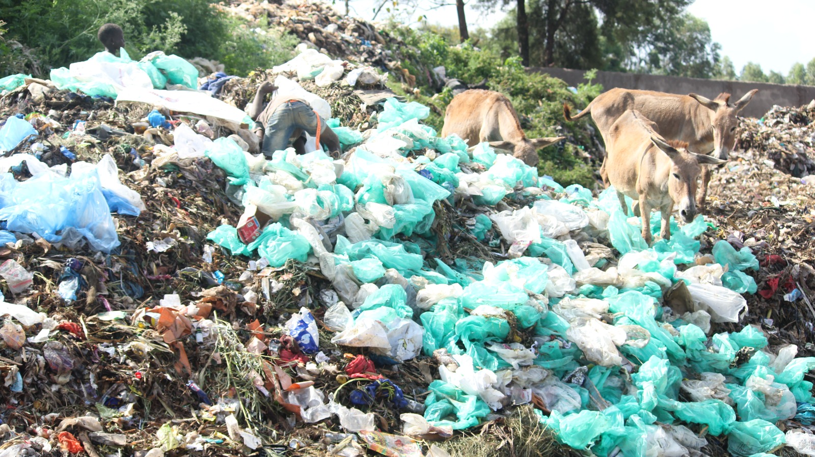 Bungoma residents mull relocation as dumpsite smell makes environment ...